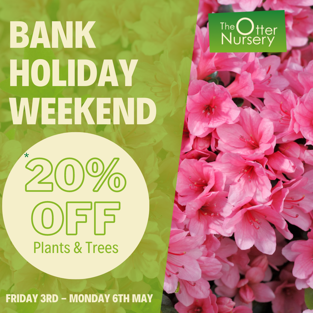20% OFF Plants & Trees this Bank Holiday Weekend - The Otter Nursery